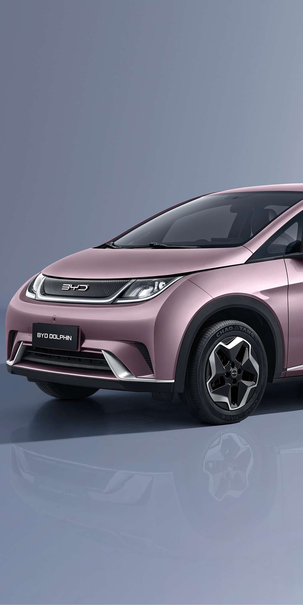 BYD DOLPHIN - Byd Vig Bình Dương